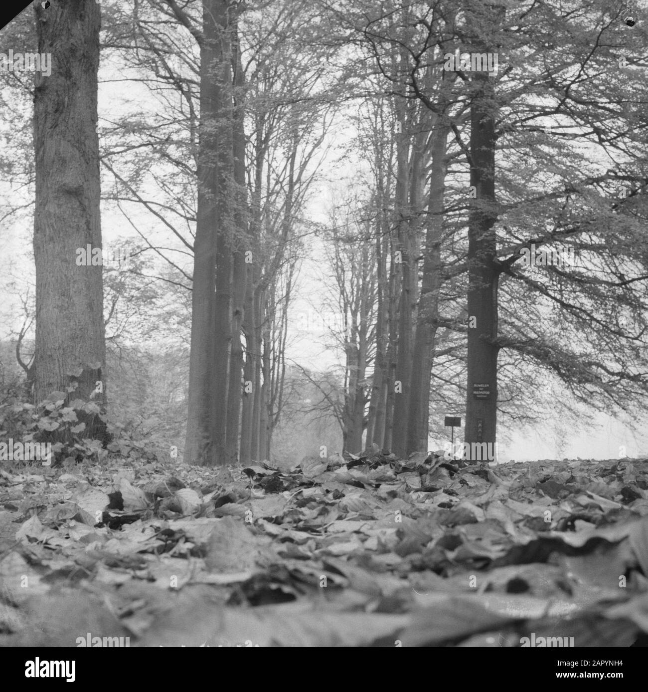 Autumn celebrations Black and White Stock Photos & Images - Alamy