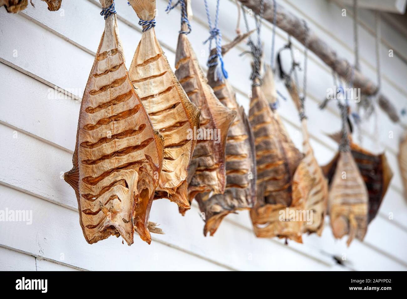 Hanging sun dried cod fish hi-res stock photography and images - Alamy