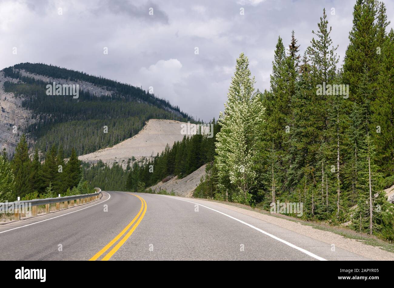 landscape along Icefield Parkway road in Alberta in Canada Stock Photo ...
