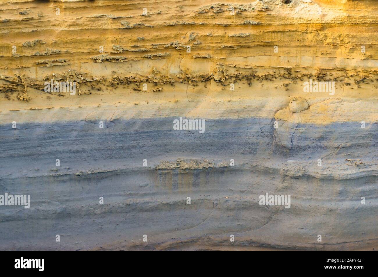Close up of sandstone layers with fossils and sediments. Nature texture ...