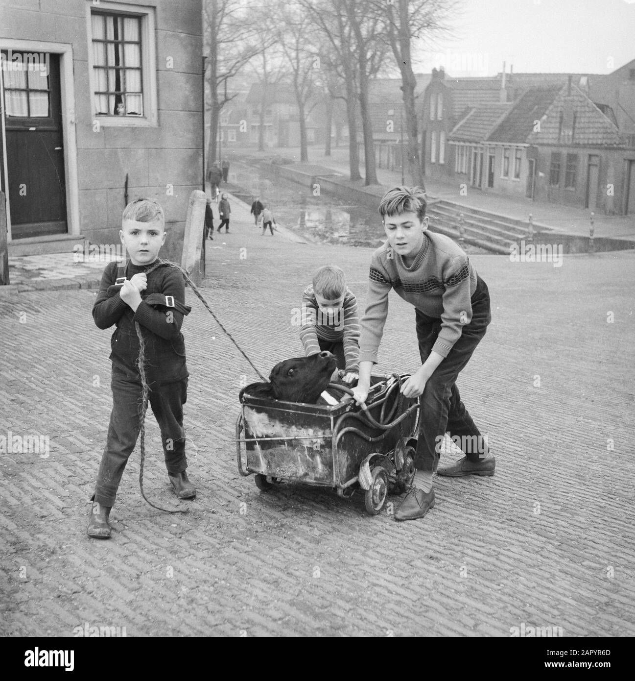 Butcher father and son hi-res stock photography and images - Alamy