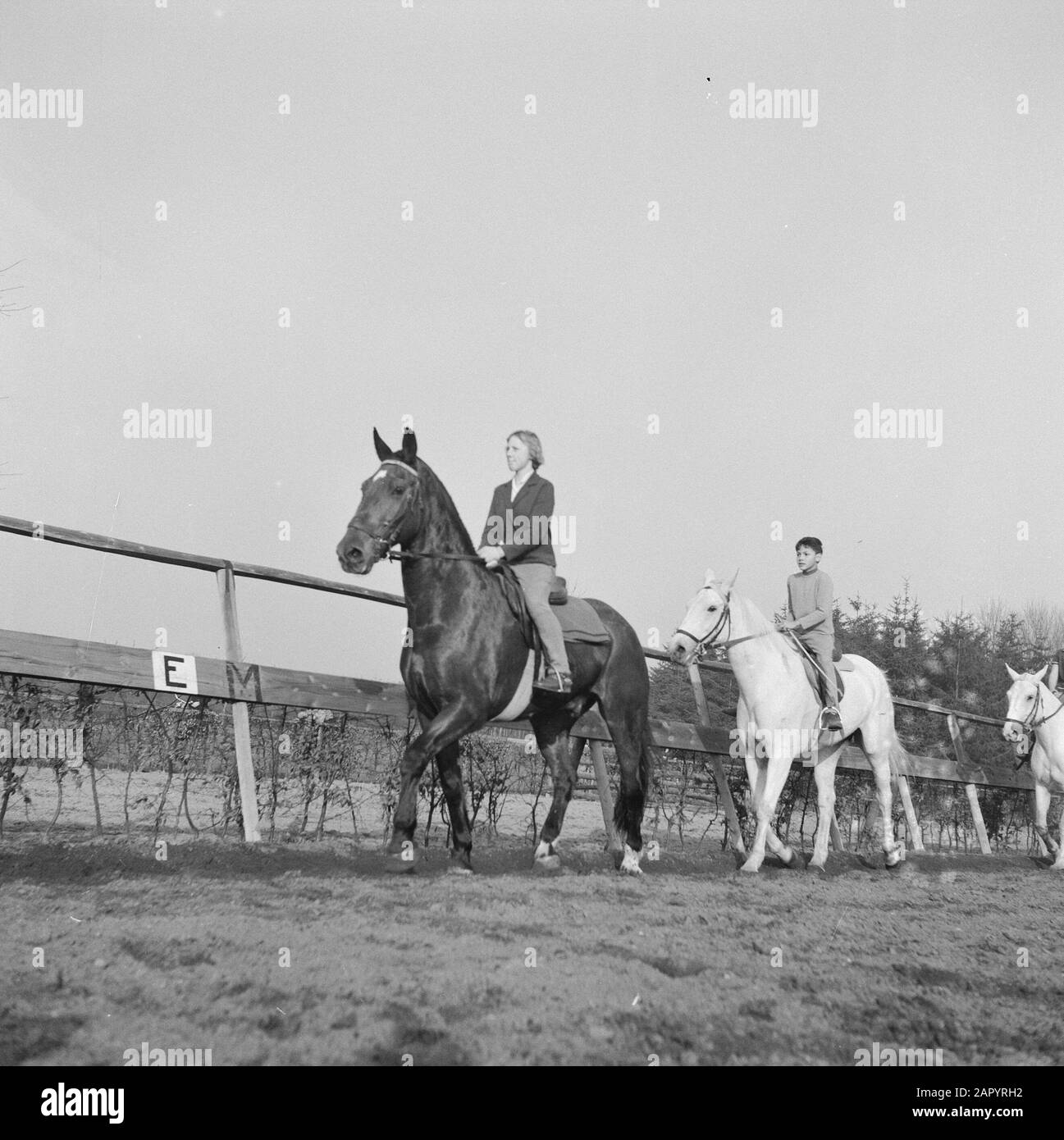 Competitive equestrian Black and White Stock Photos & Images - Alamy