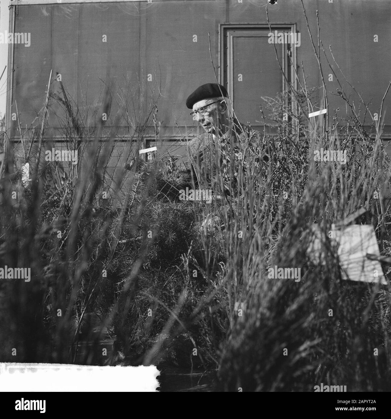 Spring gardening man Black and White Stock Photos & Images - Alamy