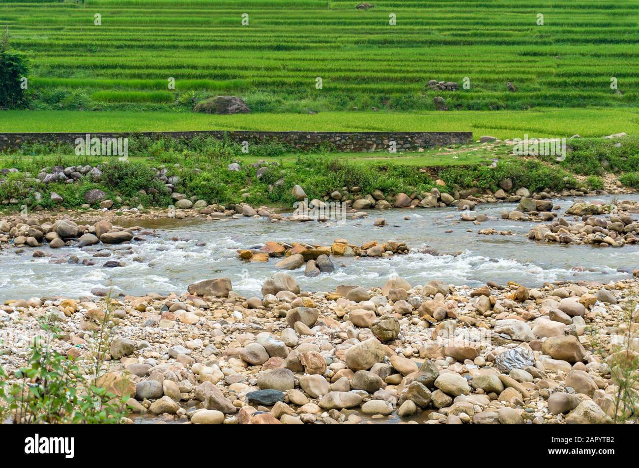 Rapid river and rice terraces, rice field Stock Photo - Alamy