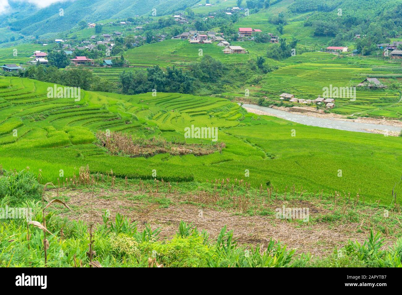 Rice terraces and fields with village in the distance. Countryside ...