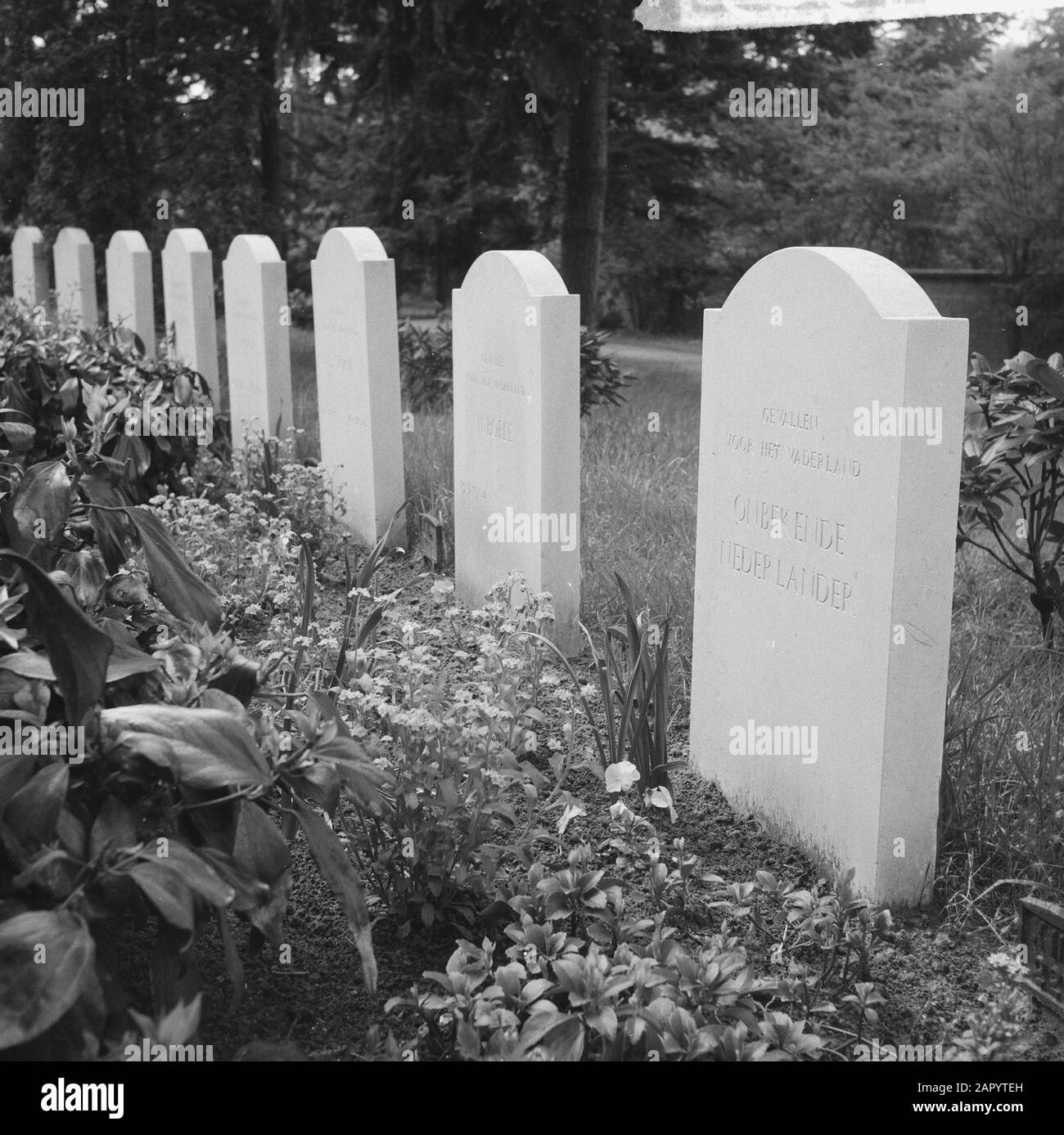 Municipal cemetery rusthof hi-res stock photography and images - Alamy