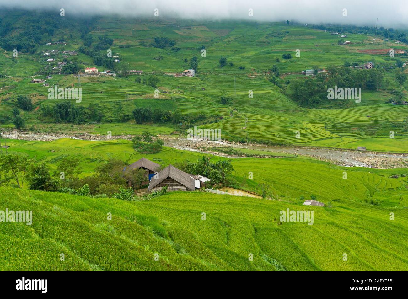 Spectacular rice terraces in Vietnamese countryside. SaPa, Vietnam ...