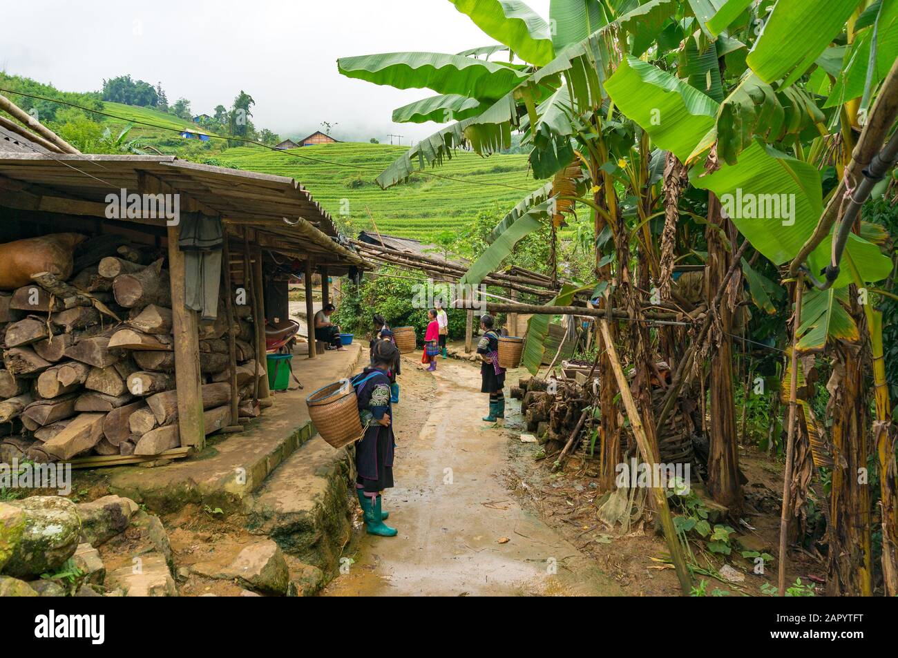Vietnamese village hi-res stock photography and images - Alamy