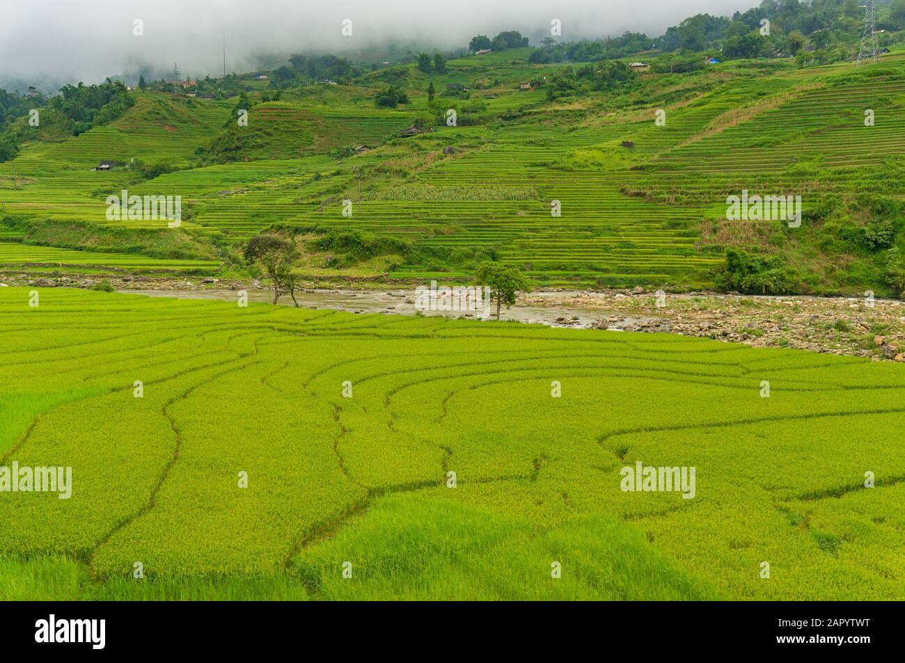 Countryside rural landscape with green rice terraces Stock Photo - Alamy
