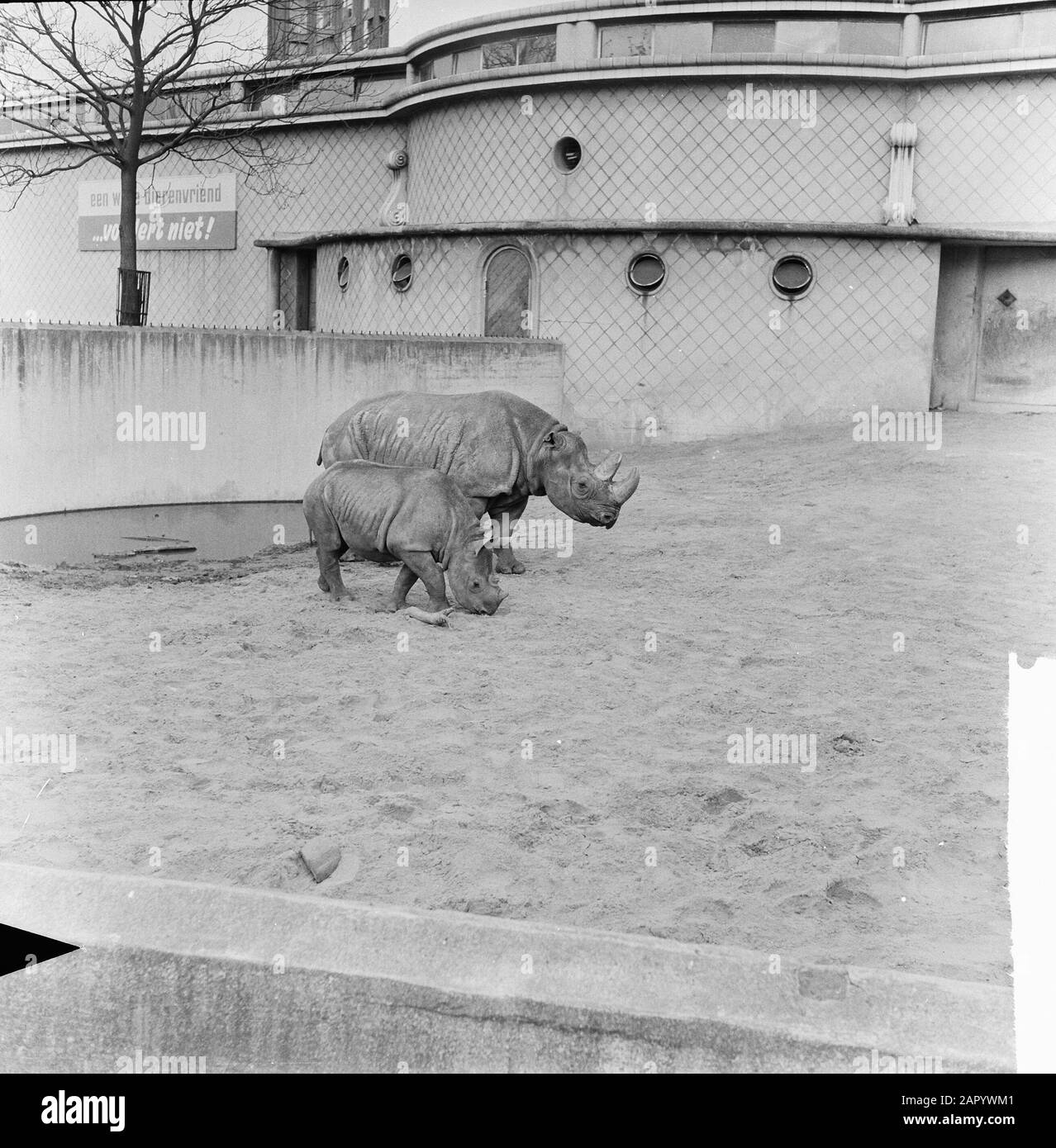 Diergaarde blijdorp hi-res stock photography and images - Alamy
