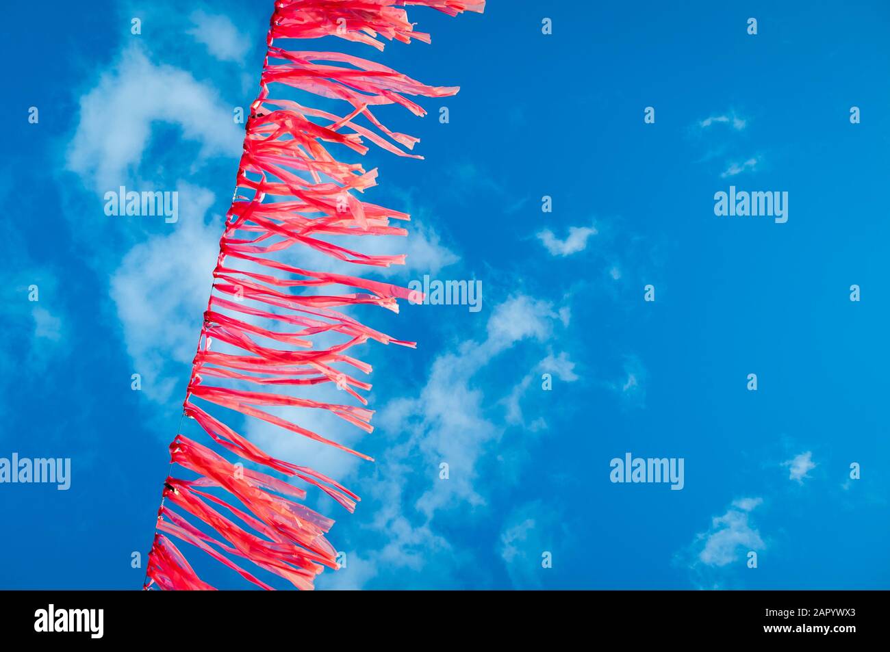 String of bright pink streamers flutters in the wind against vibrant ...