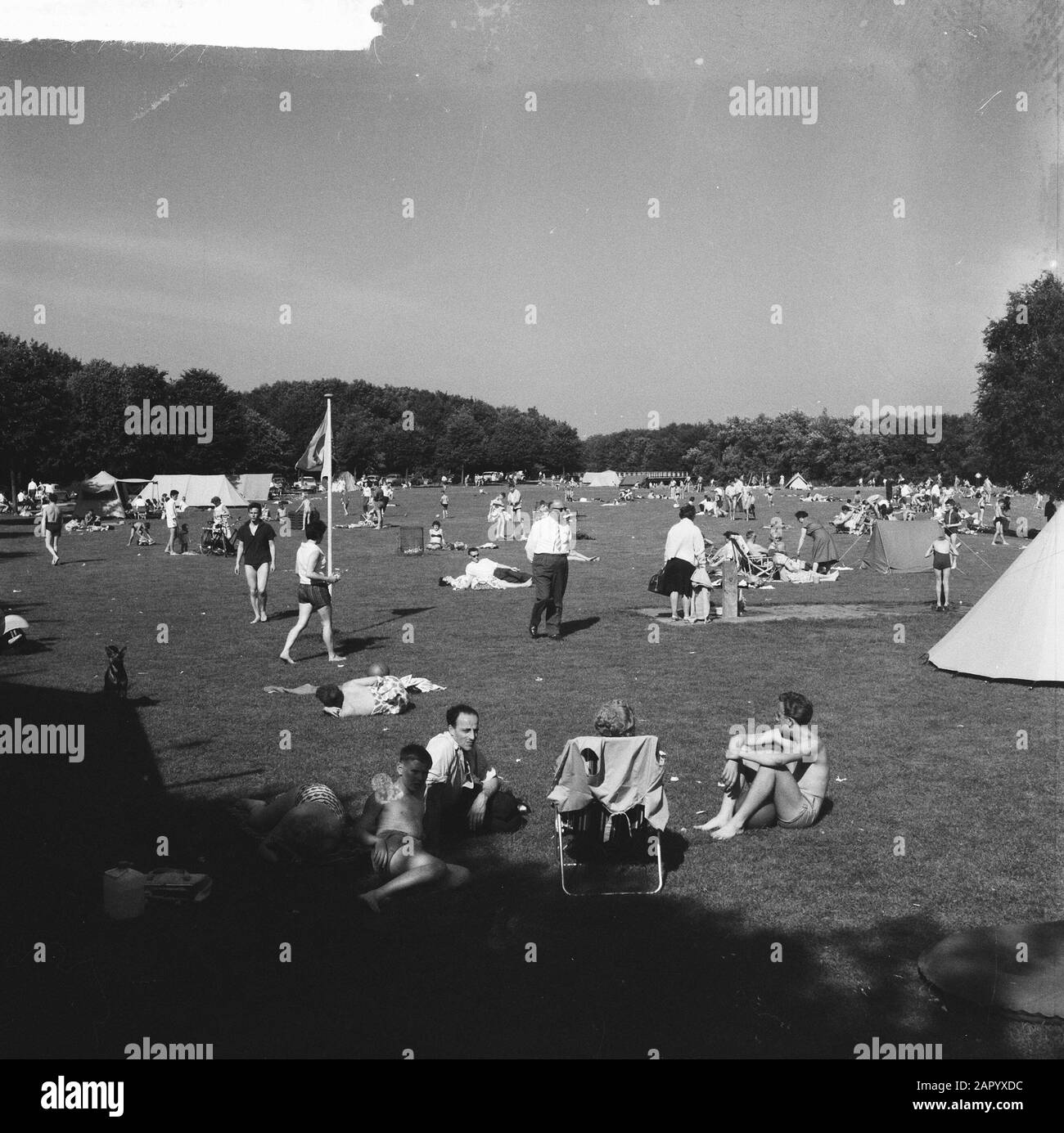 Amsterdamse bos amsterdam events Black and White Stock Photos & Images ...