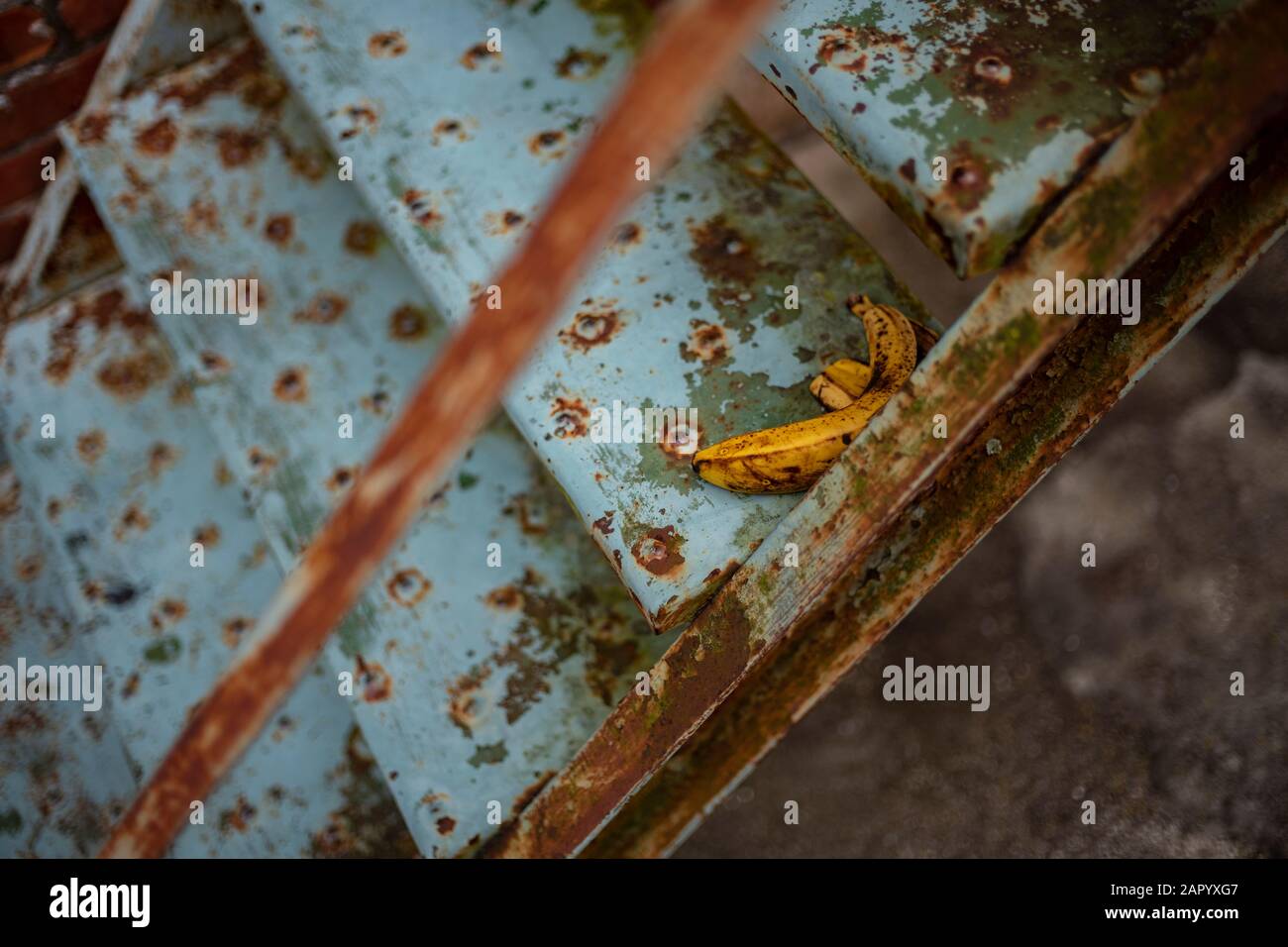 A discarded banana peel, left on a rusty, blue stair of a fire escape ...