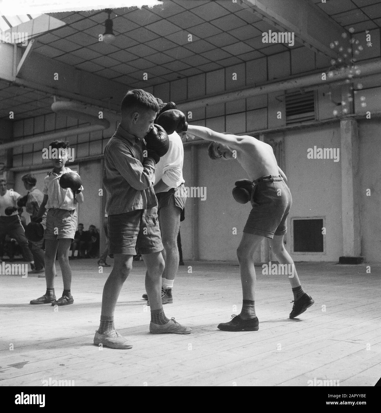 Sports week in Oude RAI. Boxing Date: 17 July 1961 Keywords: BOXERS ...