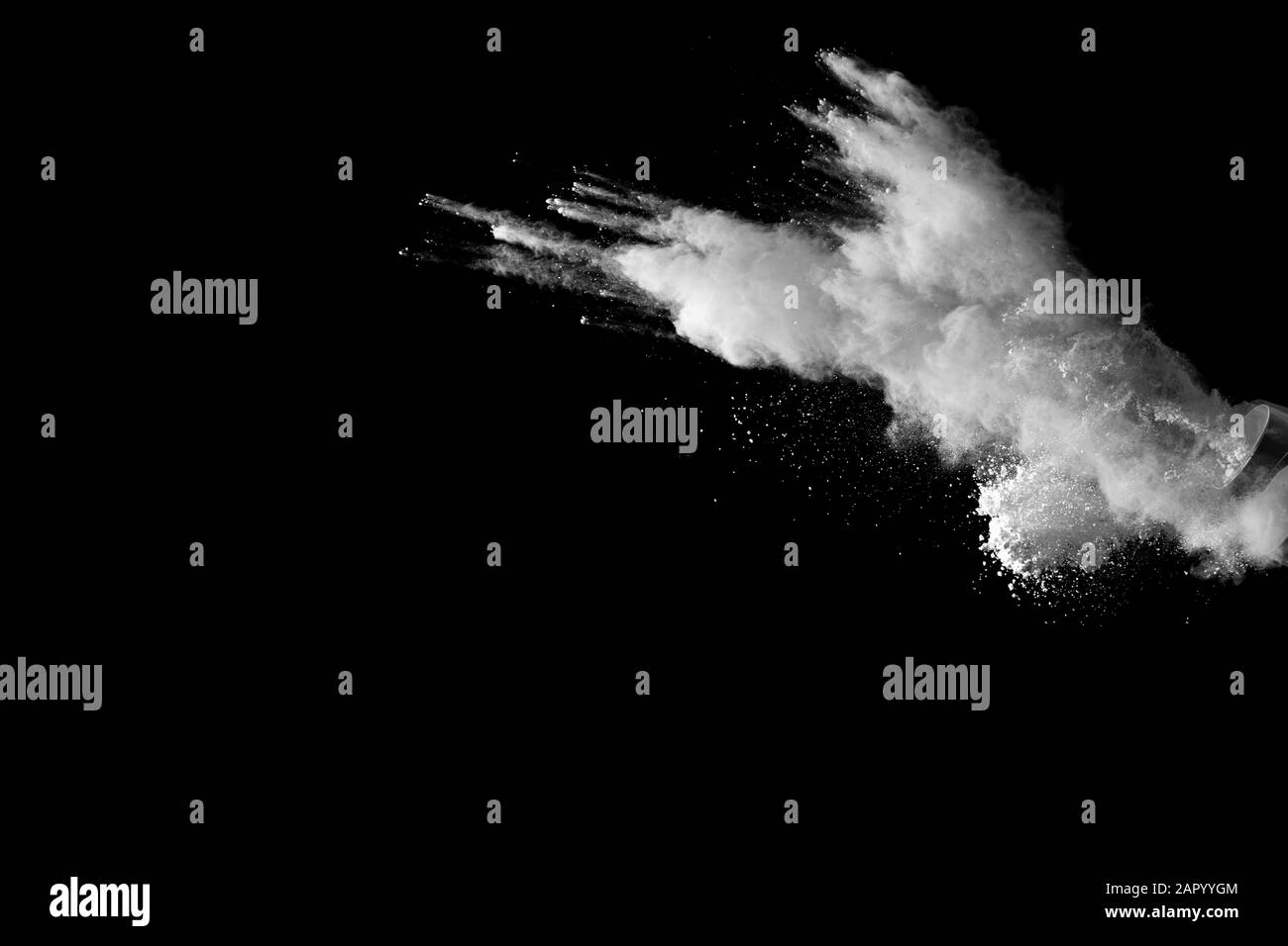 White talcume powder explosion on black background. White dust ...