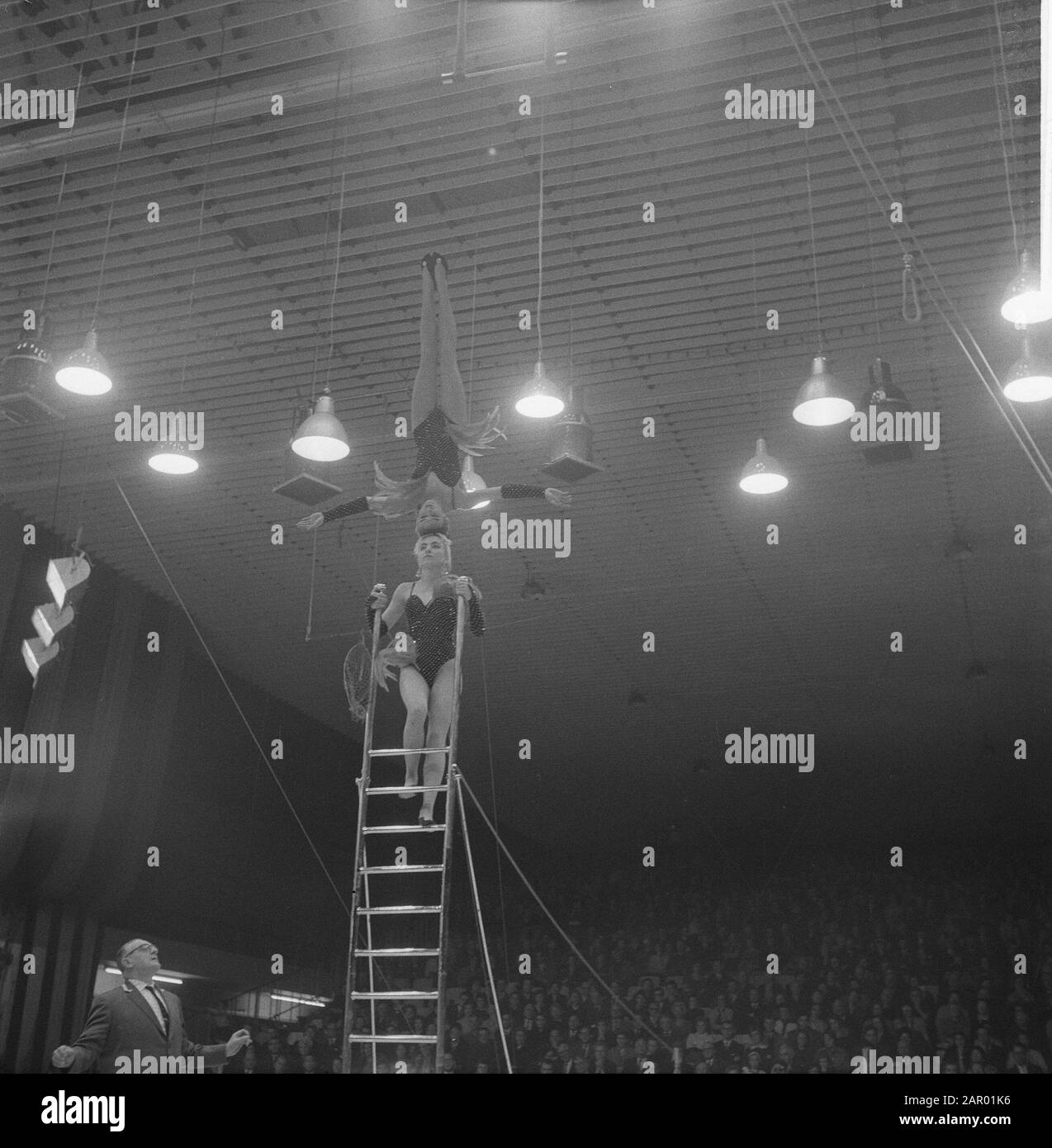 Proposal circus americano hi-res stock photography and images - Alamy