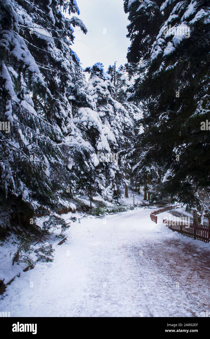 Winter season and snowy scenes from the Abant lake and nearby villages ...