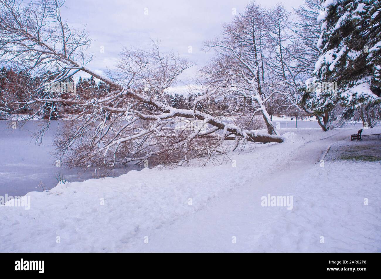 Winter season and snowy scenes from the Abant lake and nearby villages ...