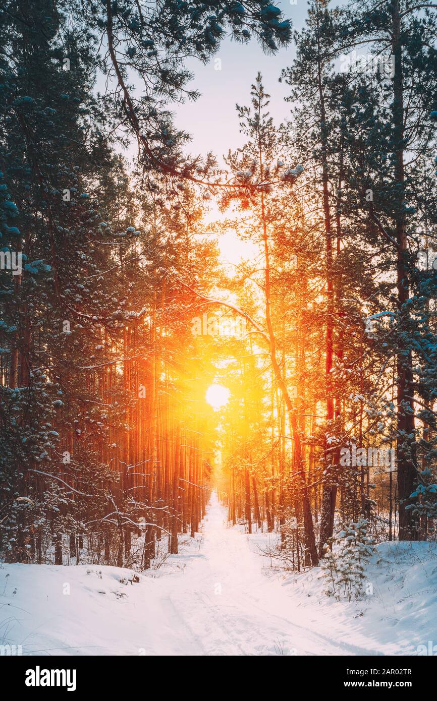 Amazing Beautiful sunset sunrise sun sunshine in sunny winter snowy ...