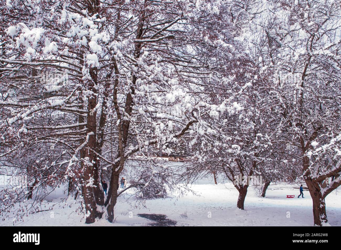 Winter season and snowy scenes from the Abant lake and nearby villages ...