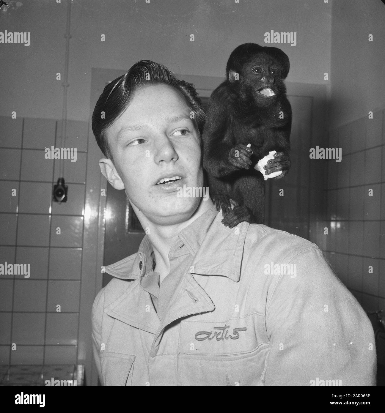 Satansaki hi-res stock photography and images - Alamy