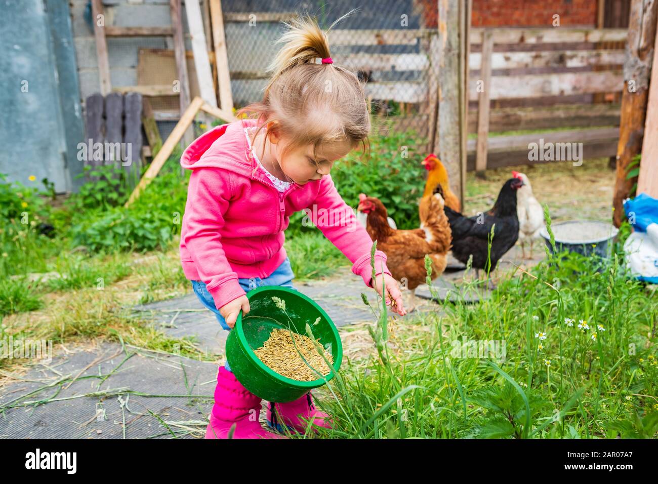 Kids feeding chickens hi-res stock photography and images - Alamy