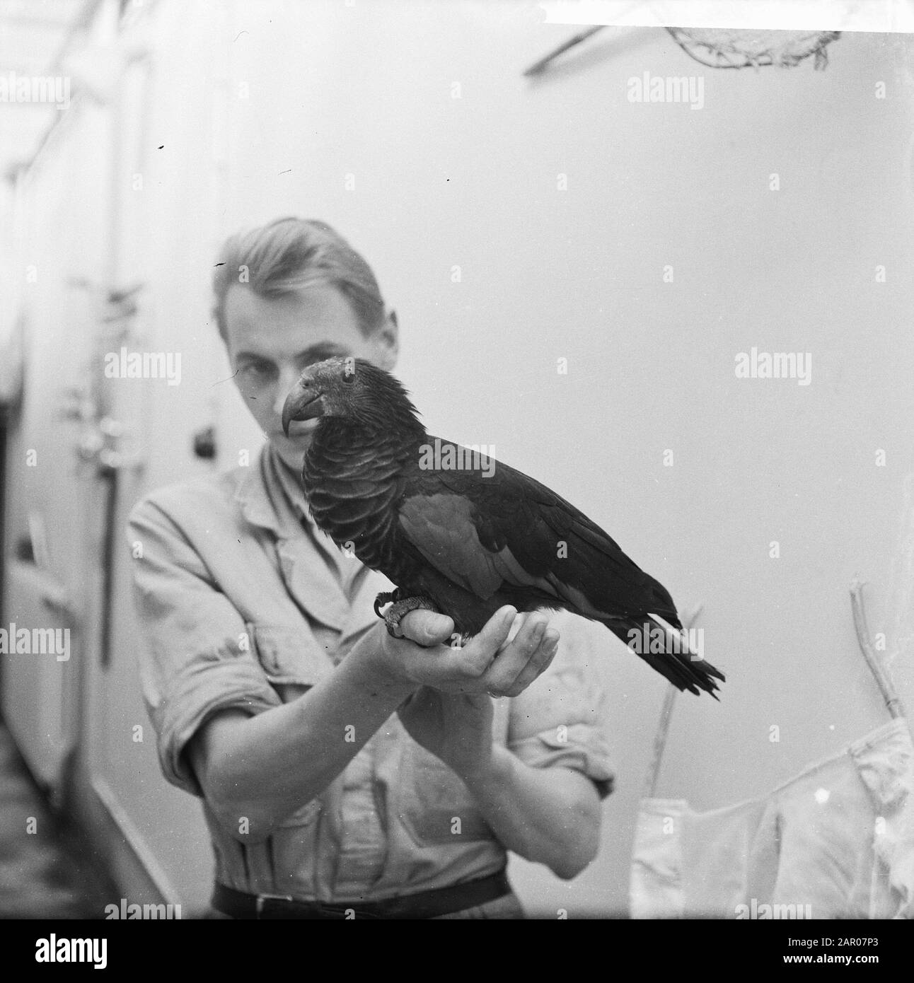 Bird sightings Black and White Stock Photos & Images - Alamy
