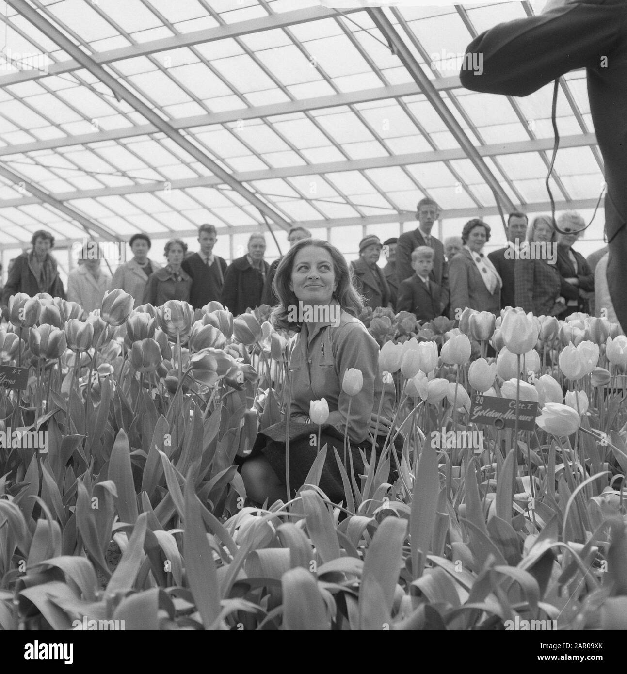 Capucine actress hi-res stock photography and images - Alamy