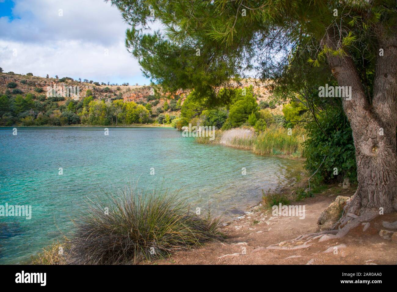 Mancha de color de agua hi-res stock photography and images - Alamy