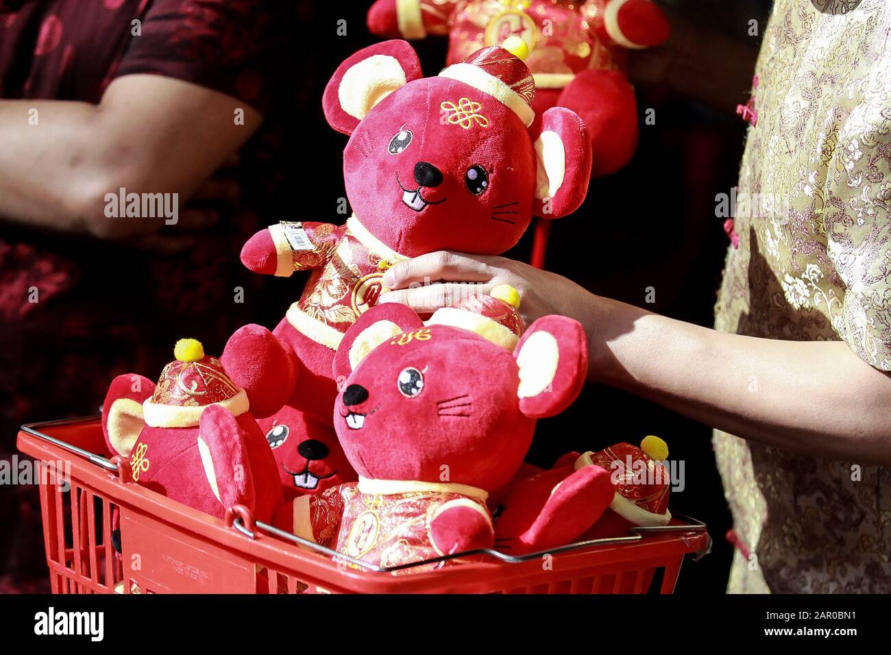 2020 Rat High Resolution Stock Photography and Images - Alamy