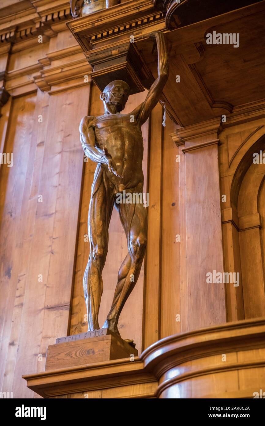 The archiginnasio library hi-res stock photography and images - Alamy