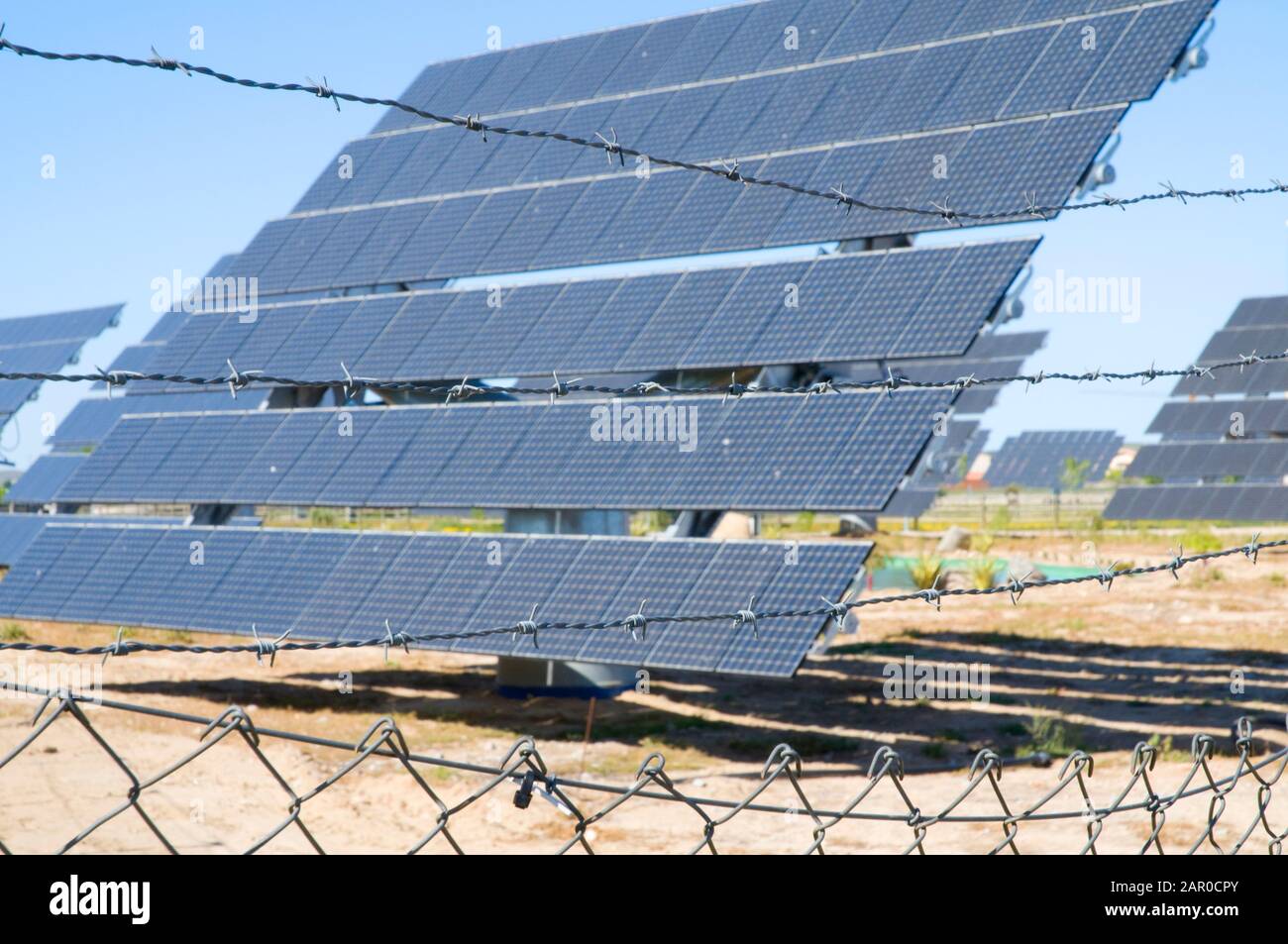 Planta cell hi-res stock photography and images - Alamy