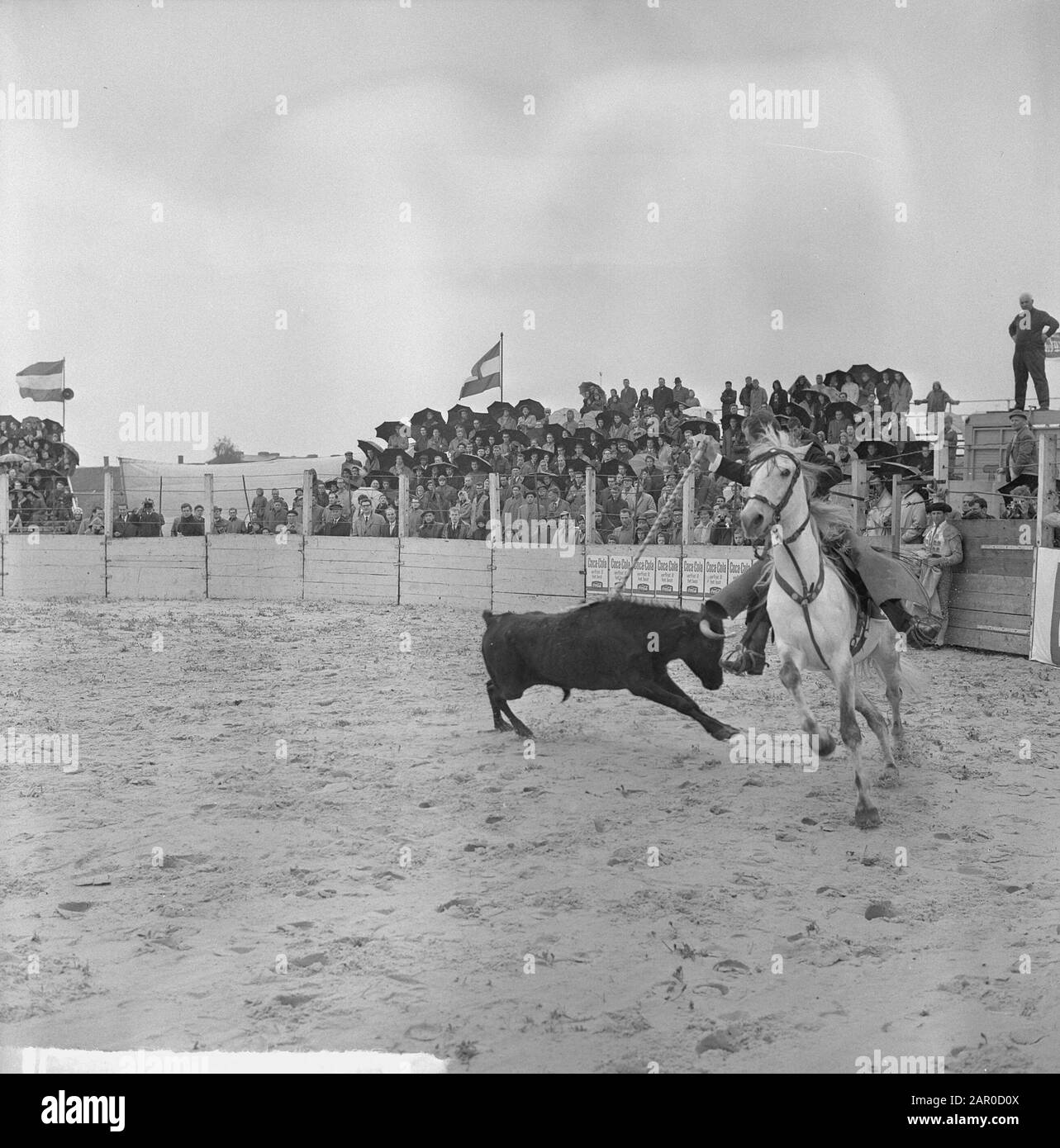 Tilburg university Black and White Stock Photos & Images - Alamy