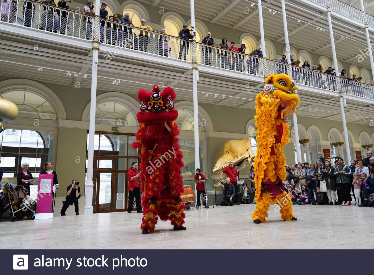 Edinburgh, Scotland, UK. 25th Jan 2020. Celebrating the Chinese New ...
