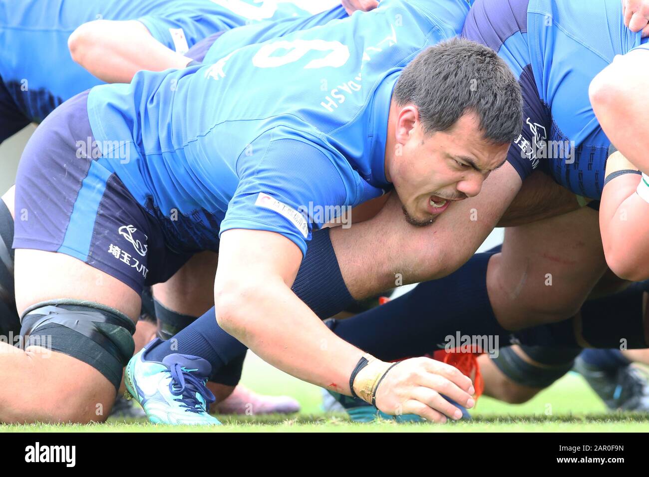 Mitsubishi sagamihara dynaboars hi-res stock photography and images - Alamy