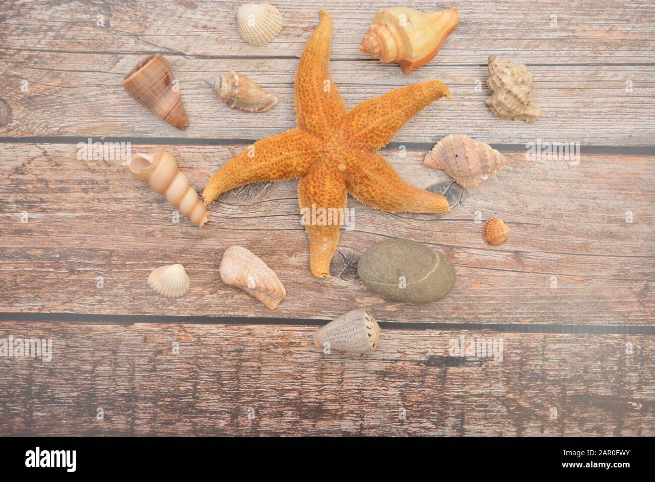 Sfondo estate mare hi-res stock photography and images - Alamy