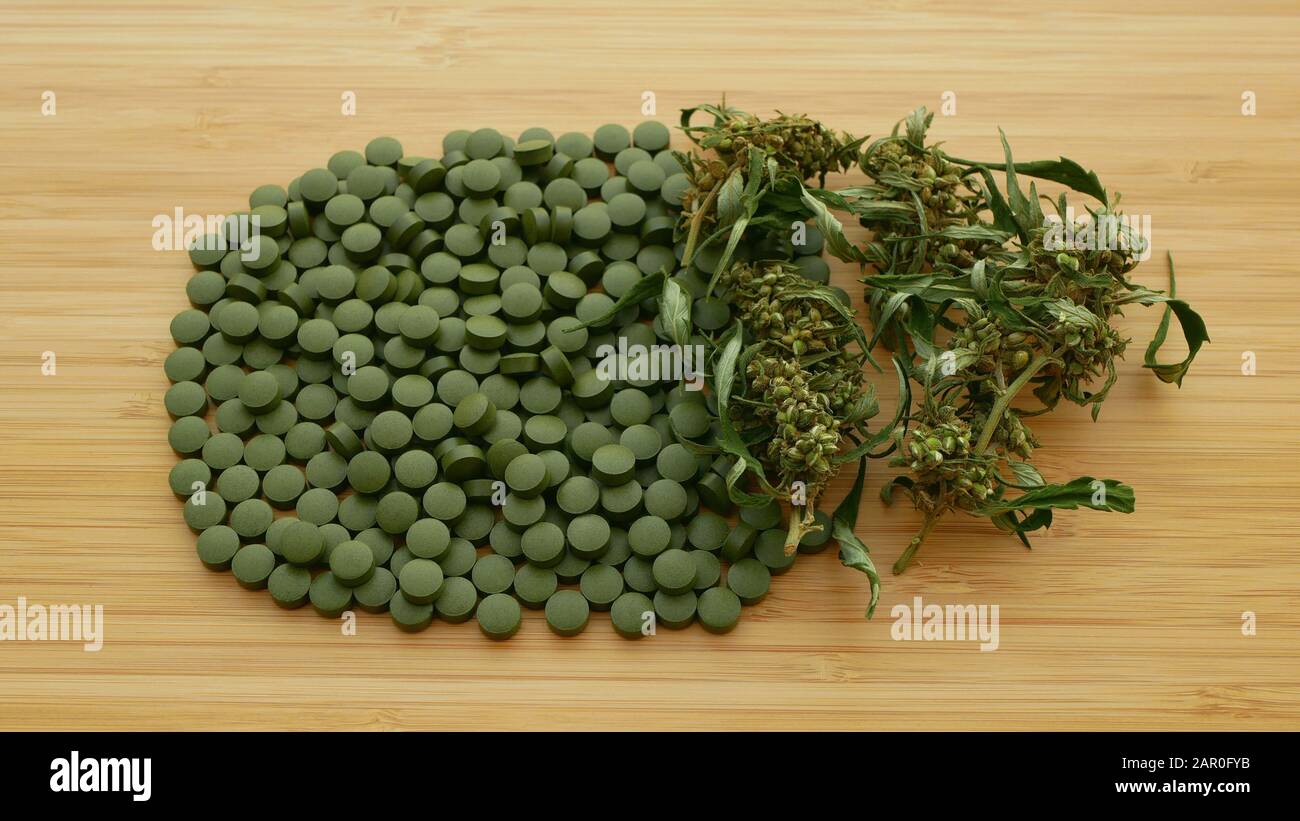 Cannabis tablets medical capsules seeds big bud dry with pistils or ...