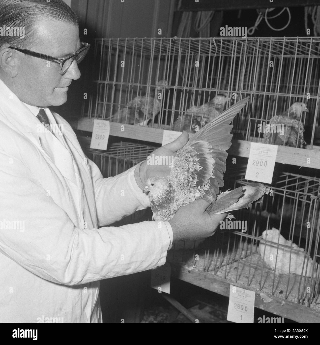 Hundred show Black and White Stock Photos & Images - Alamy