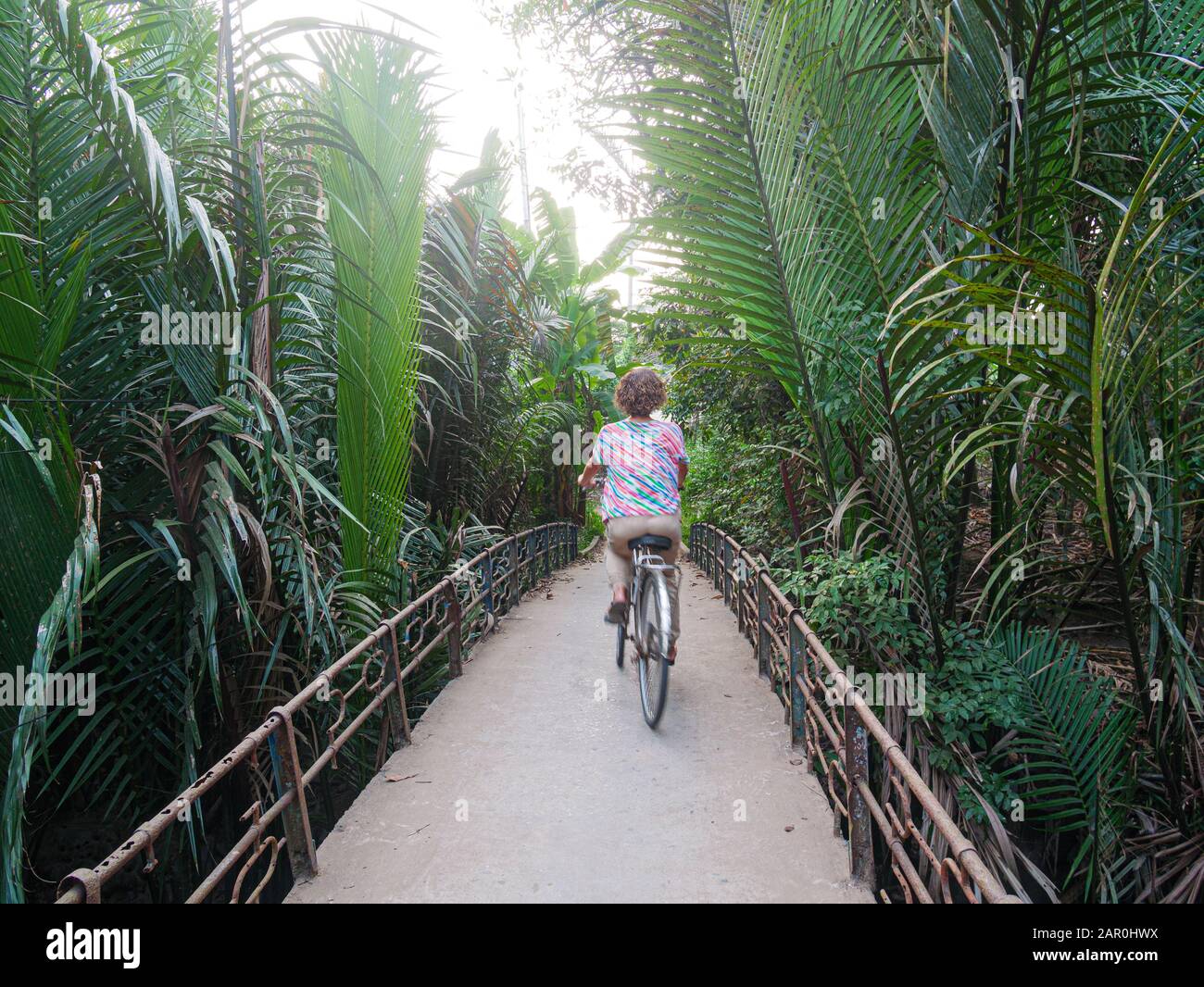 One person riding bicycle in the Mekong Delta region, Ben Tre, South ...