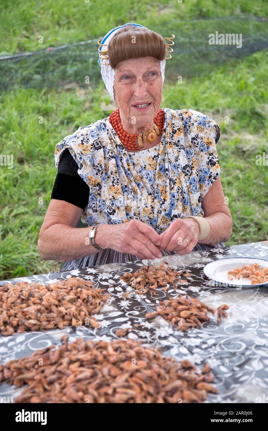 Woman in traditional Dutch costume peels the North Sea shrimps by hand ...
