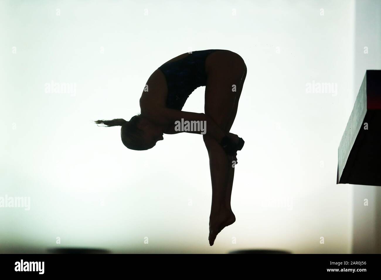 Josie Zillig in the Women's Platform, Preliminary during day two of the ...