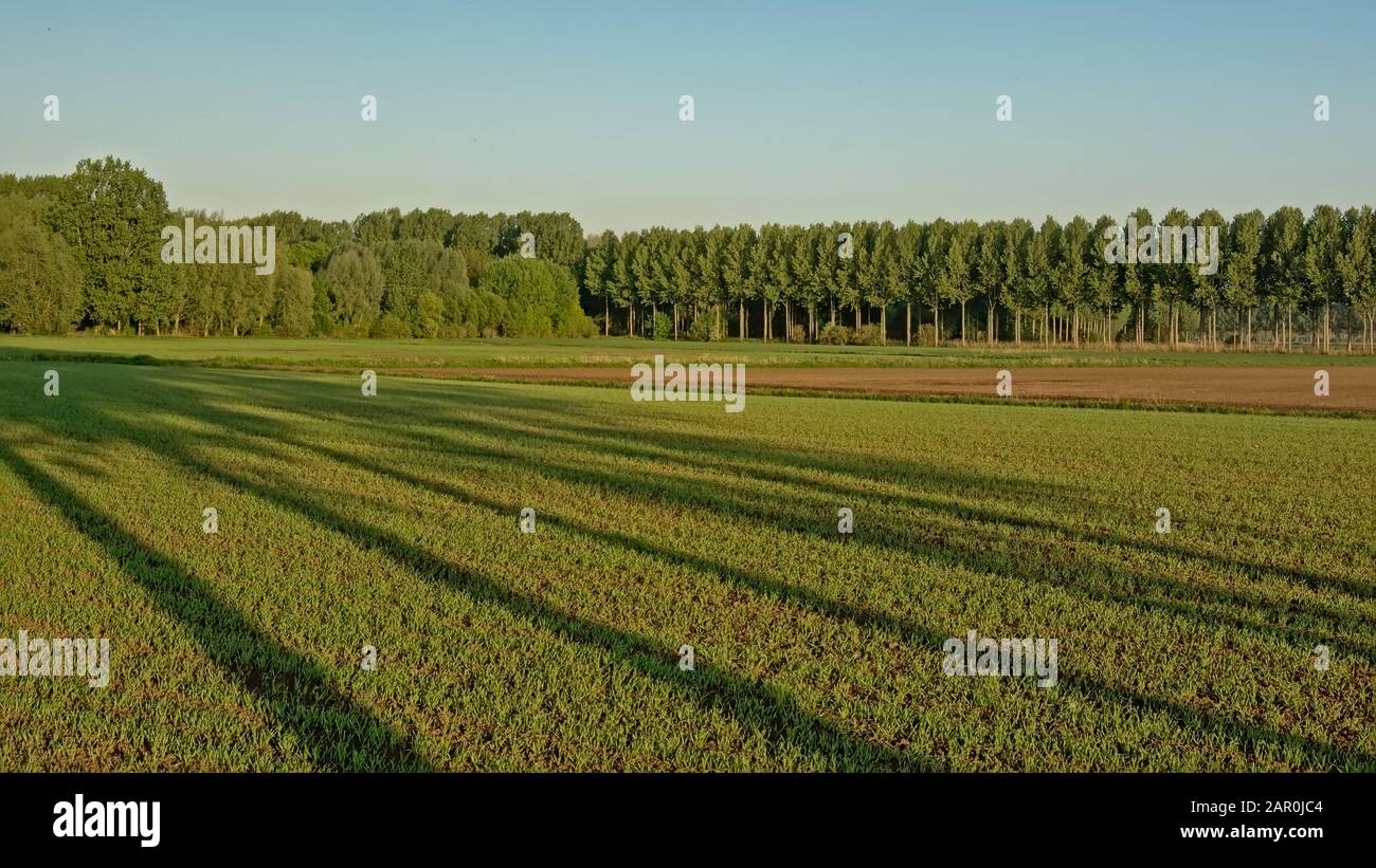 Farmland in the Flemish countryside in colorful evening light after ...