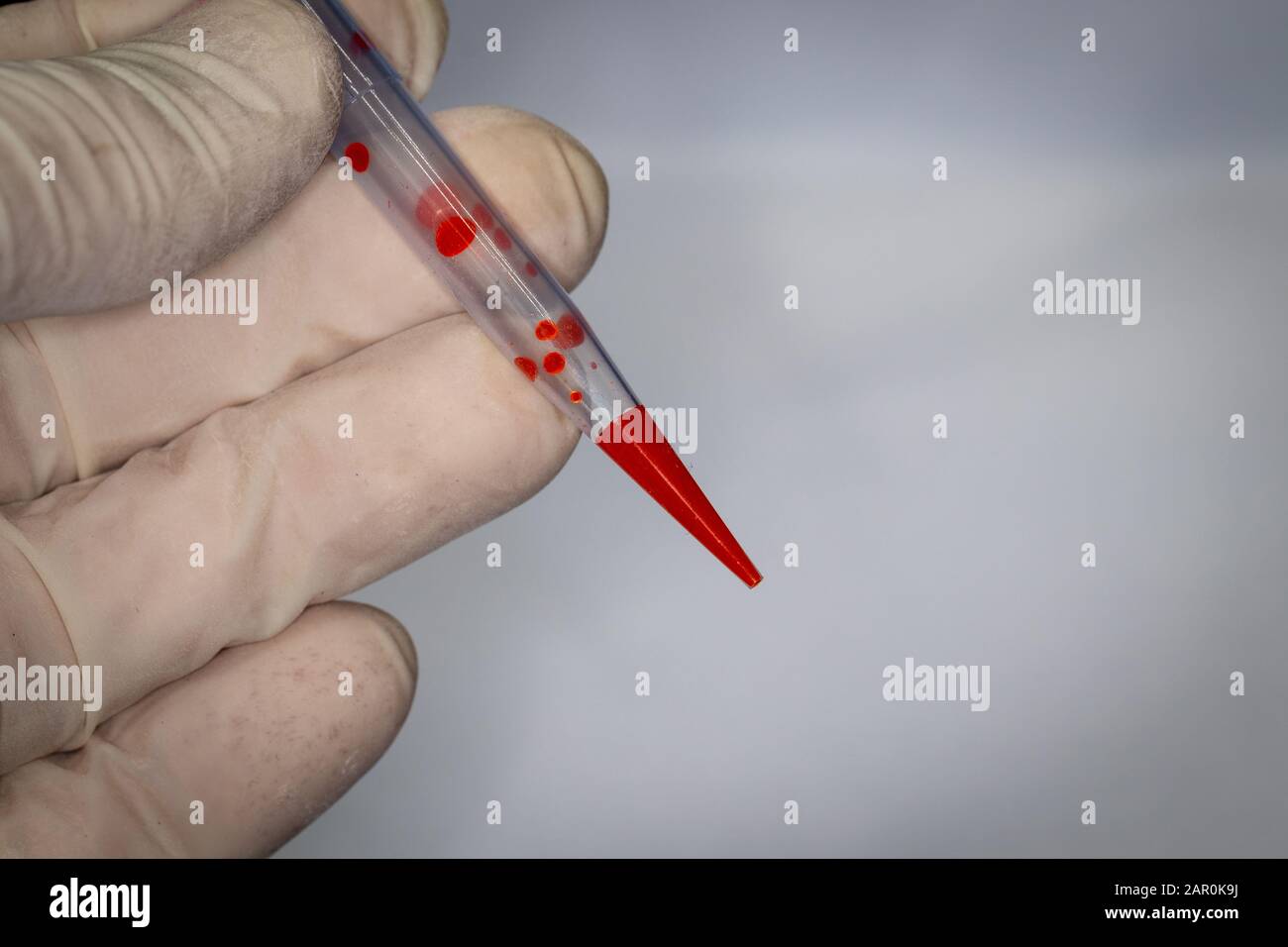 Coronavirus blood sample and field test kit equipment Stock Photo - Alamy