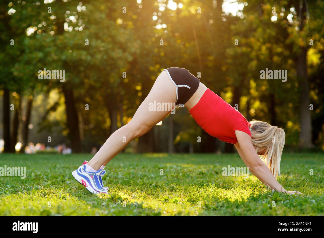 Healthy young sportswoman doing the exercises on all fours arching back ...