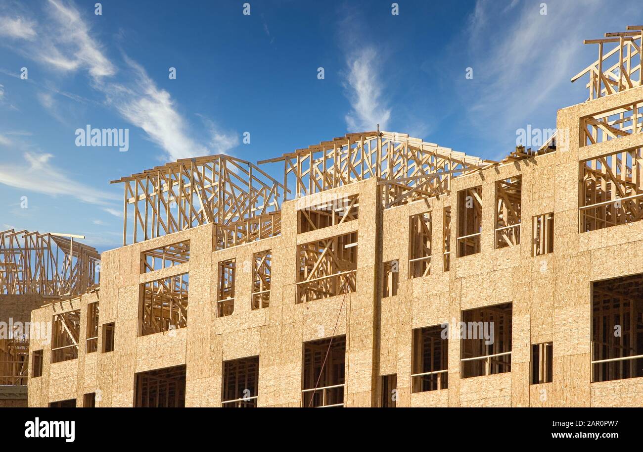 Tropical framing hi-res stock photography and images - Alamy