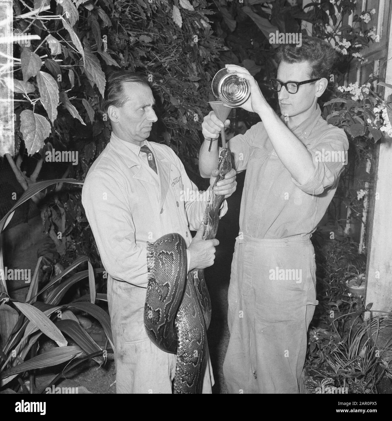 Snake zoo hi-res stock photography and images - Alamy