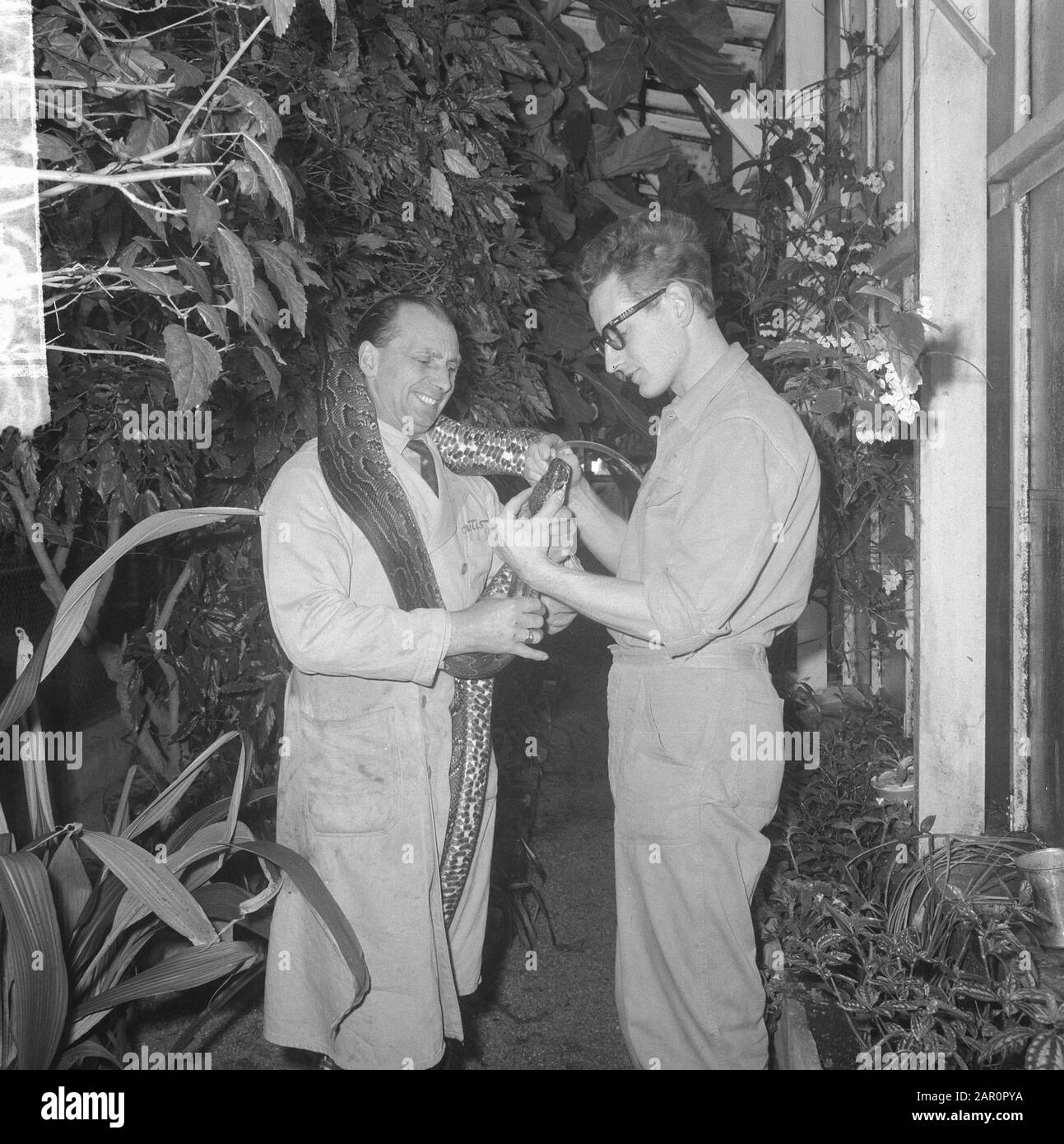 20 kg Black and White Stock Photos & Images - Alamy