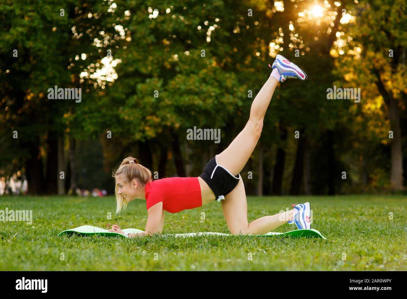 Healthy young sportswoman doing the exercises on all fours arching back ...