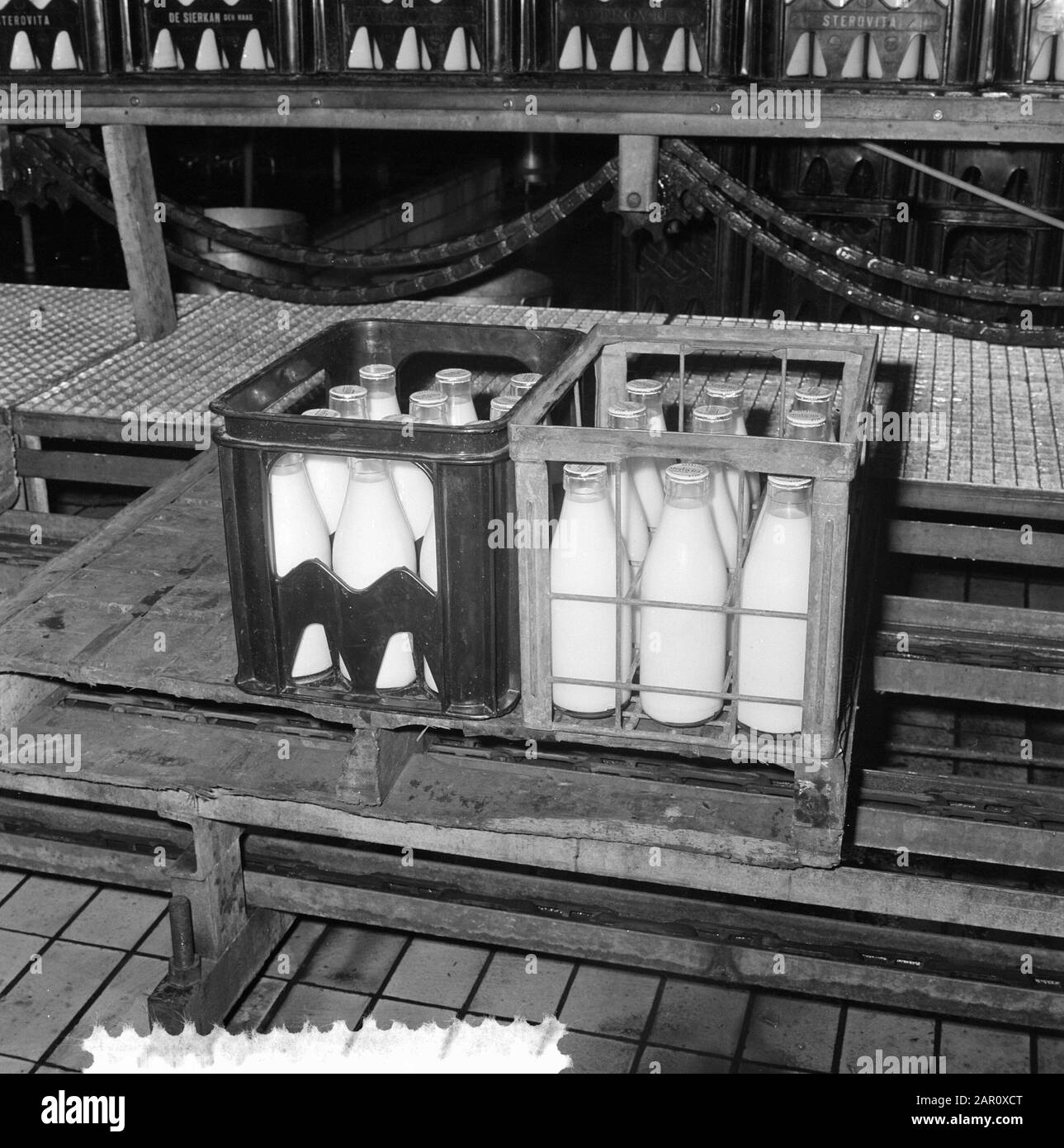 Milk bottle crates made of synthetic material, reportage dairy in ...