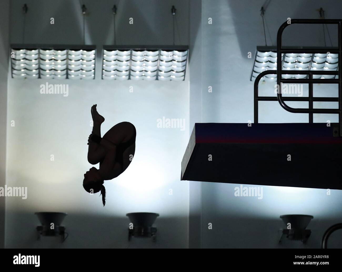 Tanya Watson in the Women's Platform, Preliminary during day two of the ...